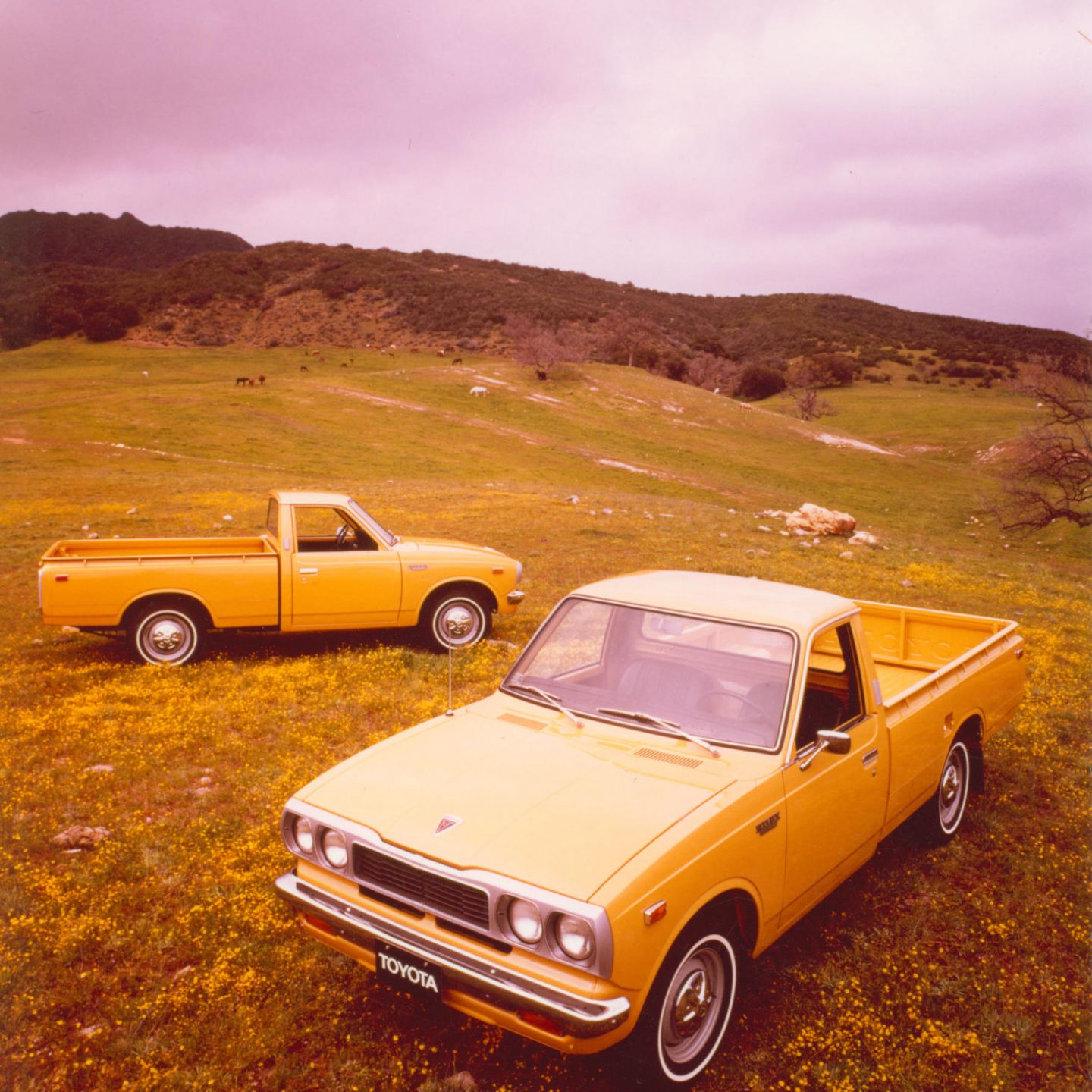 Toyota Hilux RN 20 – 2. Generation (1972 - 1978) - Pick-up Trucks
